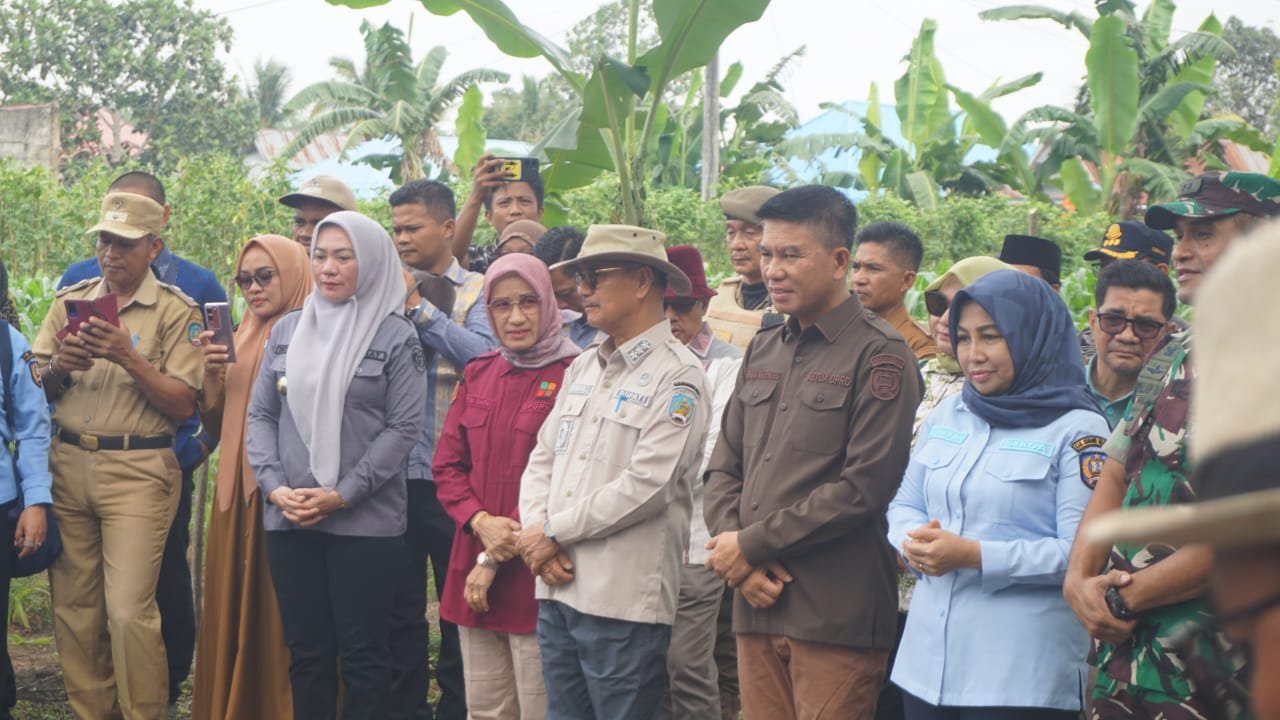 Pemda Konsel Luncurkan Gerakan Tanam Cabai di Moramo Utara - BIKASMEDIA Pemda Konsel Luncurkan Gerakan Tanam Cabai di Moramo Utara - BIKASMEDIA